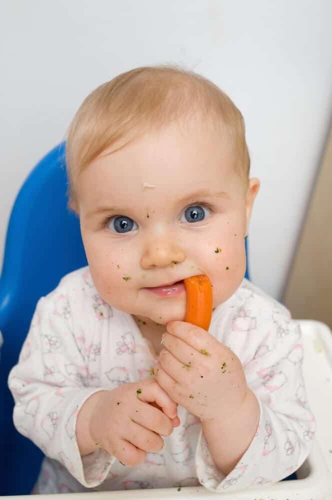 9 Fantastic Food Ideas For Baby Led Weaning 9 Fantastic Food Ideas For Baby Led Weaning