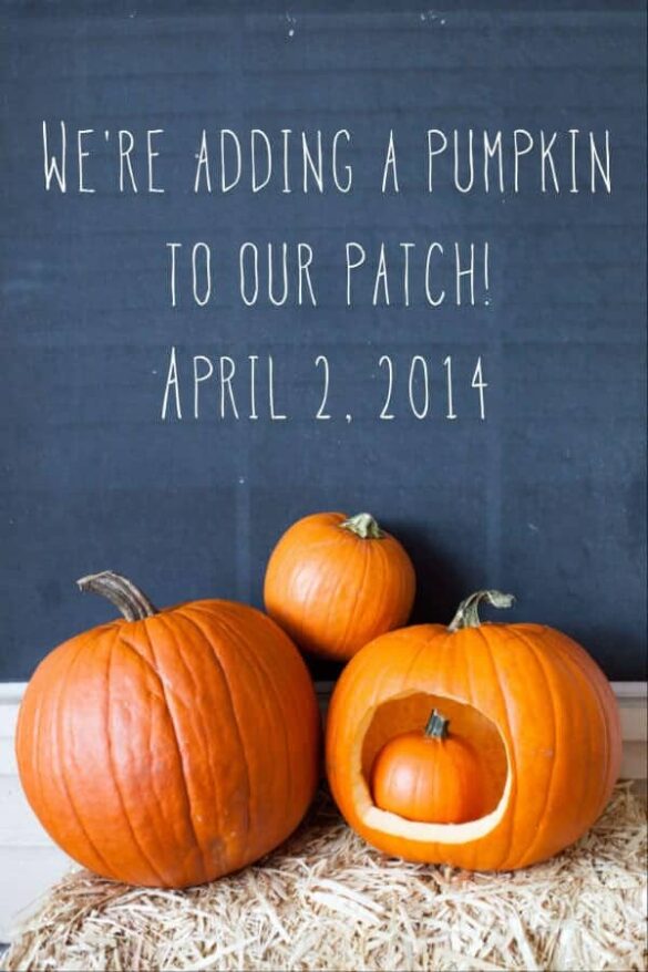 Fall Pregnancy Announcements: 8 Festive Ideas for 2025