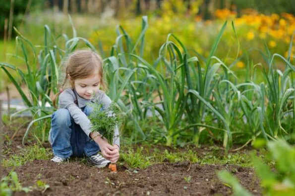 Fun Backyard Chores for Kids: Teach Responsibility Today!