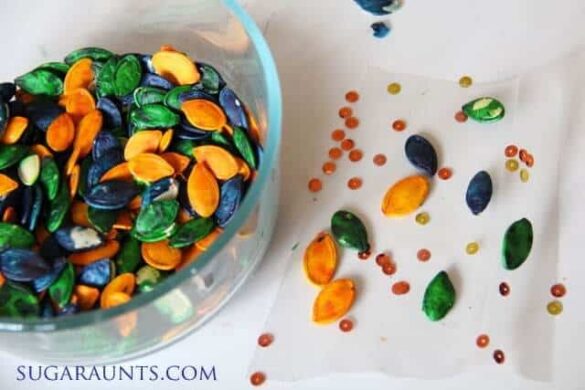 7 Creative Pumpkin Seed Crafts