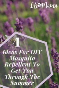 DIY Mosquito Repellents: 4 Summer Tips for Bug-Free Fun