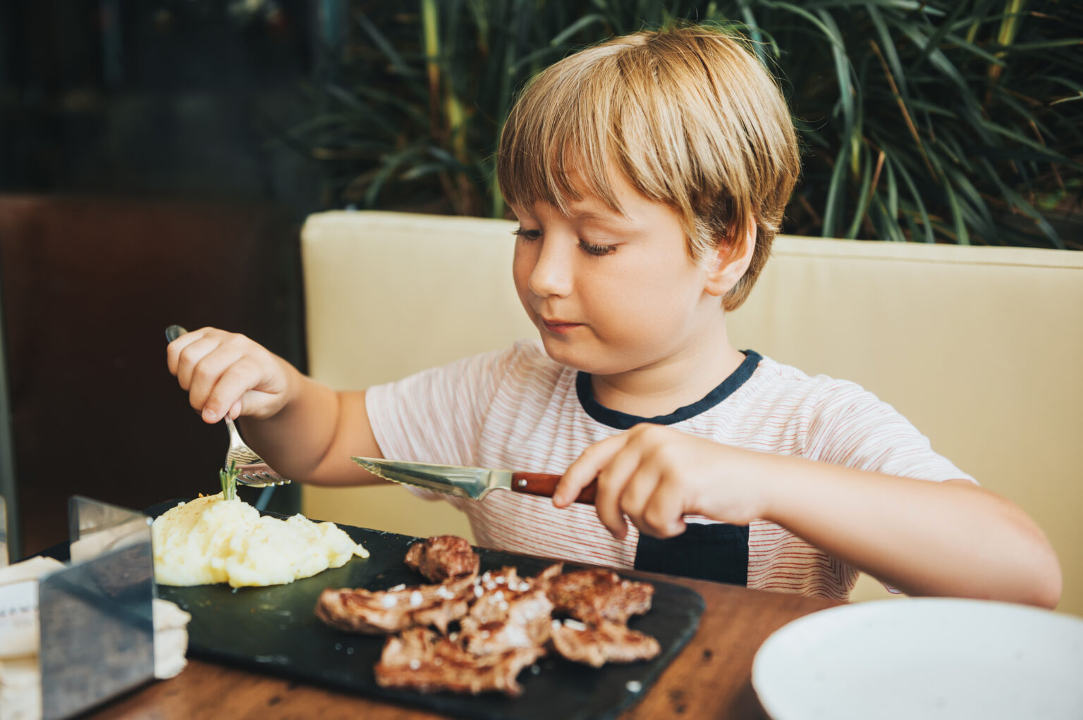 6 Reasons to Add More Protein to Your Family Meals